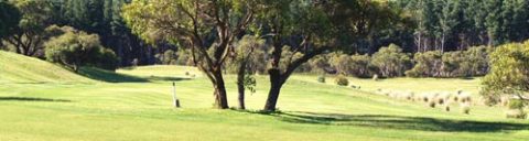 Our Clubs - Southern Golf Group